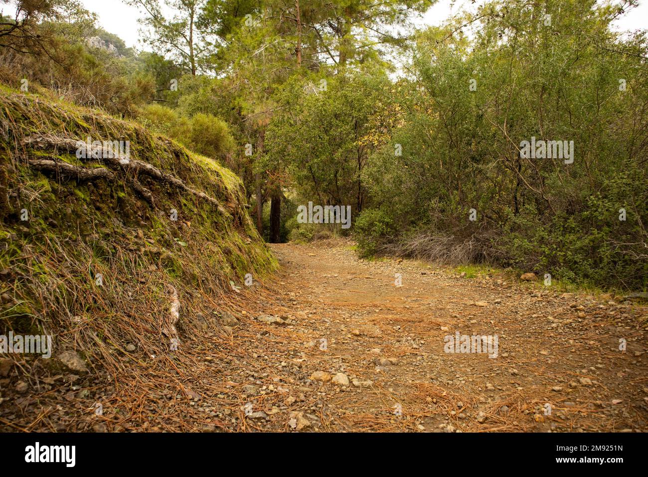 Part of the famous lycian trail in antalya hi-res stock photography and ...
