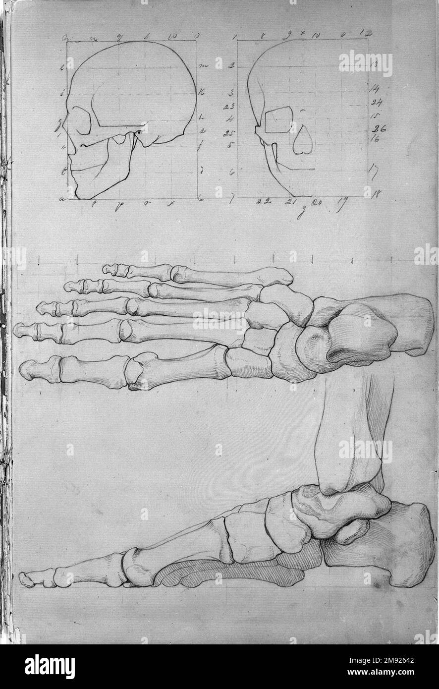 Anatomy Sketchbook Eastman Johnson (American, 1824-1906). Anatomy ...
