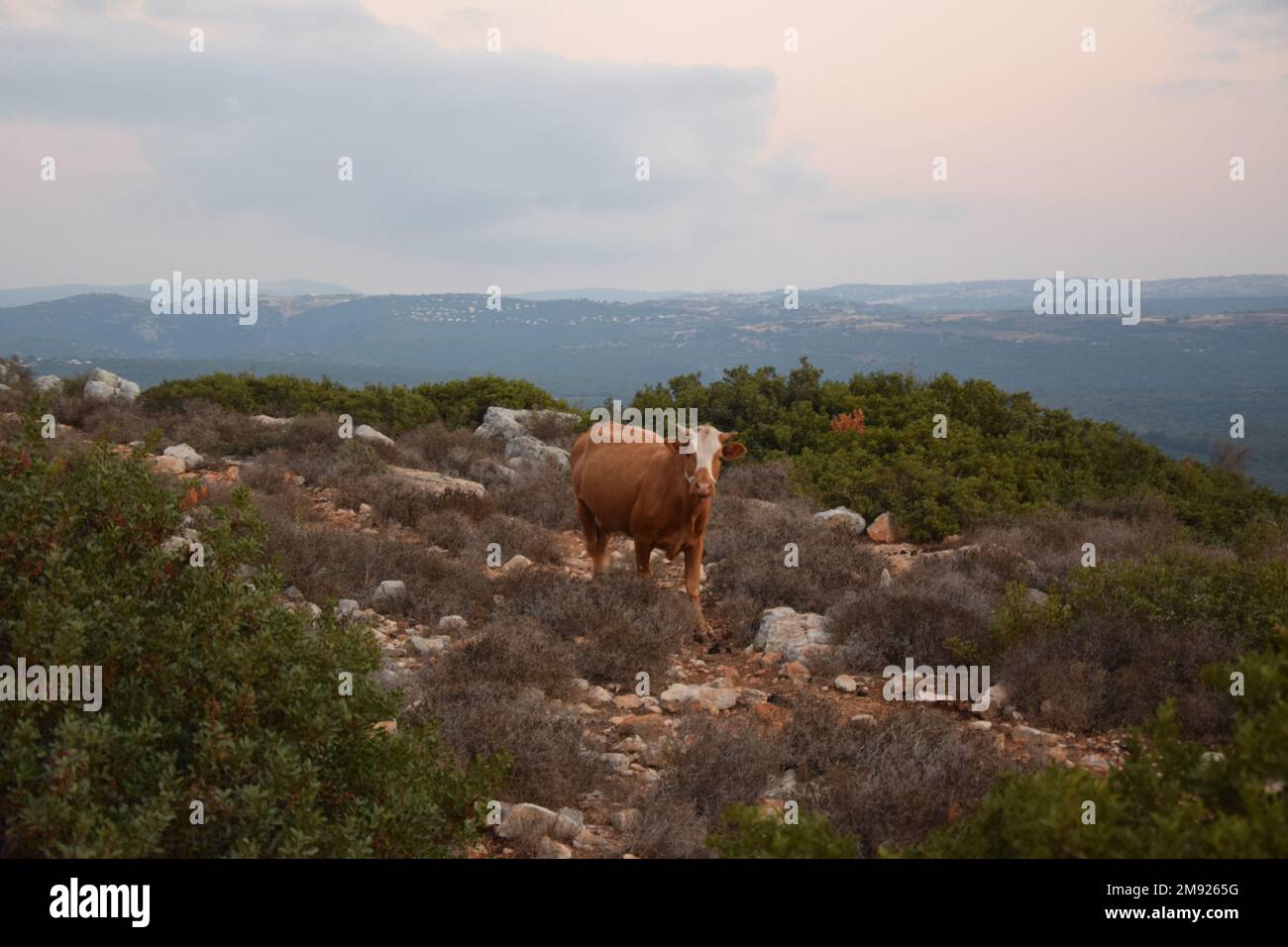 Keshet Cave - natural arch during sunset, Adamit Park, Upper Galilee ...