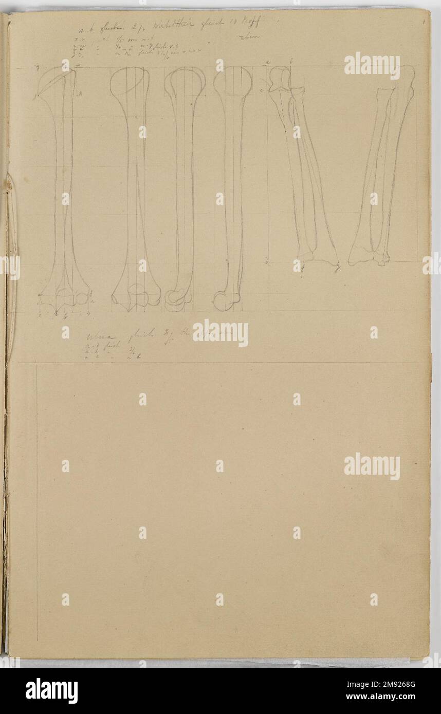 Anatomy Sketchbook Eastman Johnson (American, 1824-1906). Anatomy ...