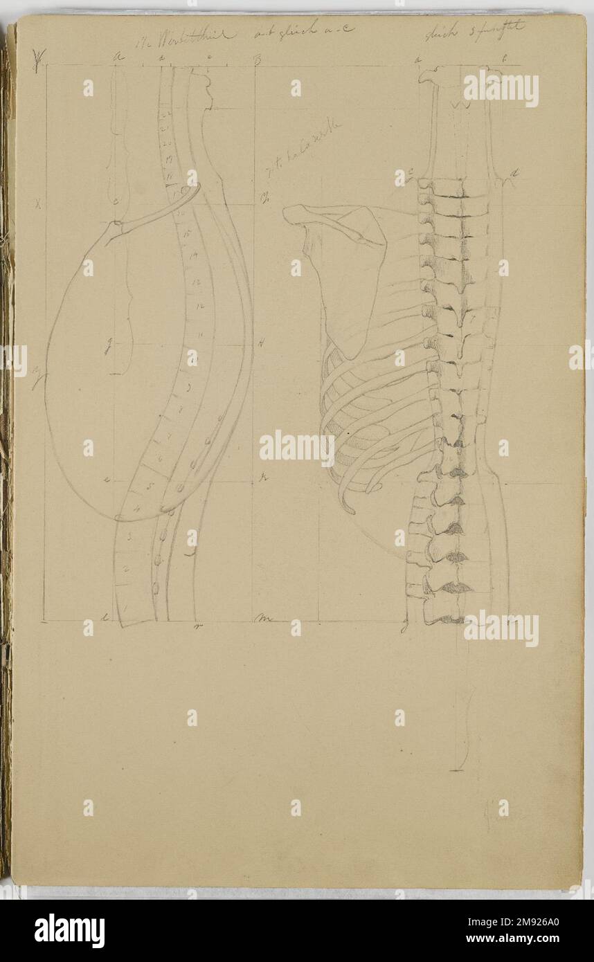 Anatomy Sketchbook Eastman Johnson (American, 1824-1906). Anatomy ...