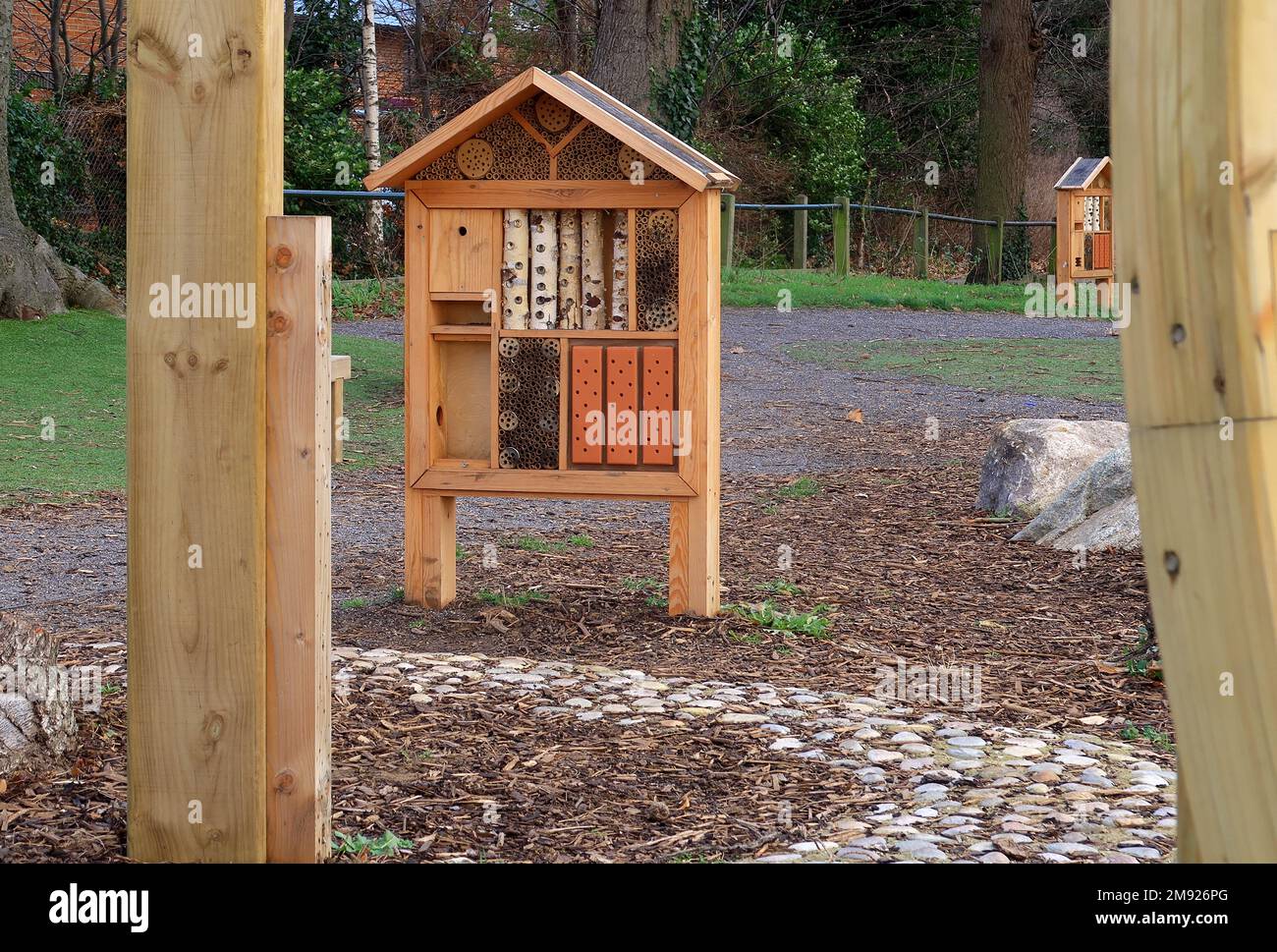 Woodland play hi-res stock photography and images - Alamy