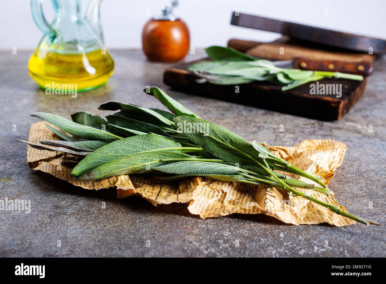 Salvia officinalis. Clary Sage natural green leaves macro background ...