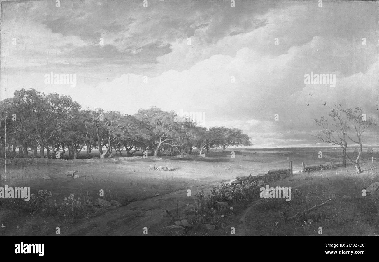Old Orchard At Newport William Trost Richards American 1833 1905