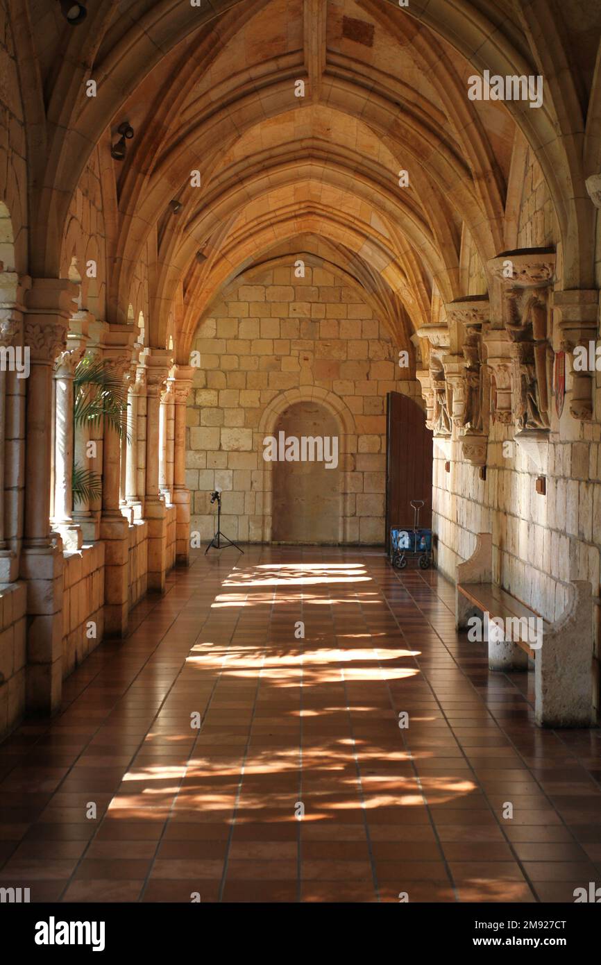 A vertical shot of the hall of Saint Bernard de Clairvaux Church with ...