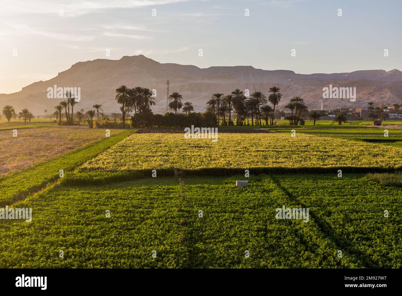 Fertile nile river valley hi-res stock photography and images - Alamy