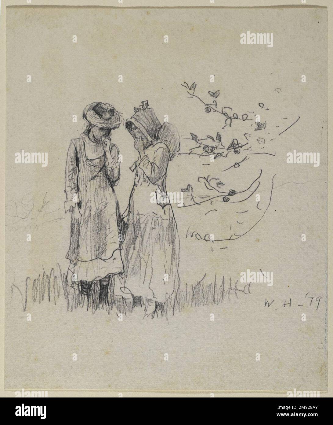 Rough graphite sketches hi-res stock photography and images - Alamy