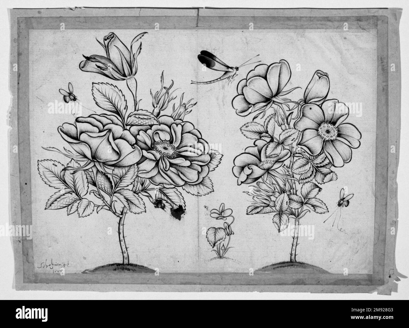 Rosebushes, Bees, and a Dragonfly Shafi' Abbasi. Rosebushes, Bees, and ...