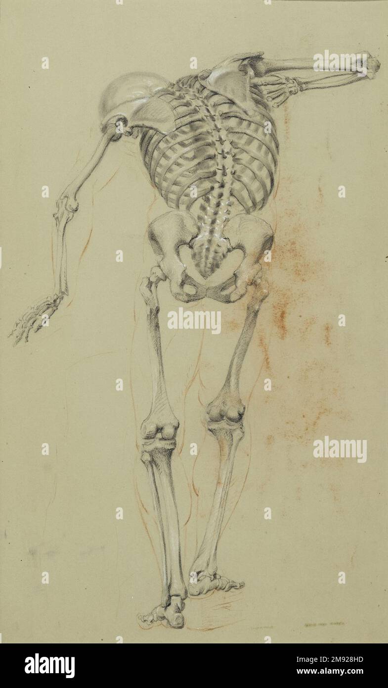 Skeleton Study Daniel Huntington (American, 1816-1906). Skeleton Study ...