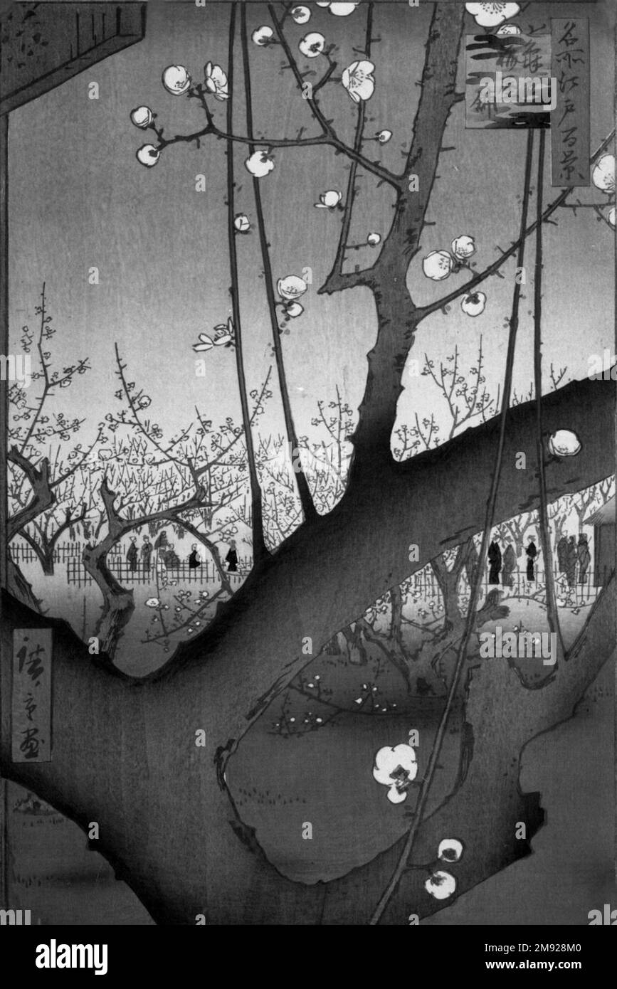 Month flower Black and White Stock Photos & Images - Alamy