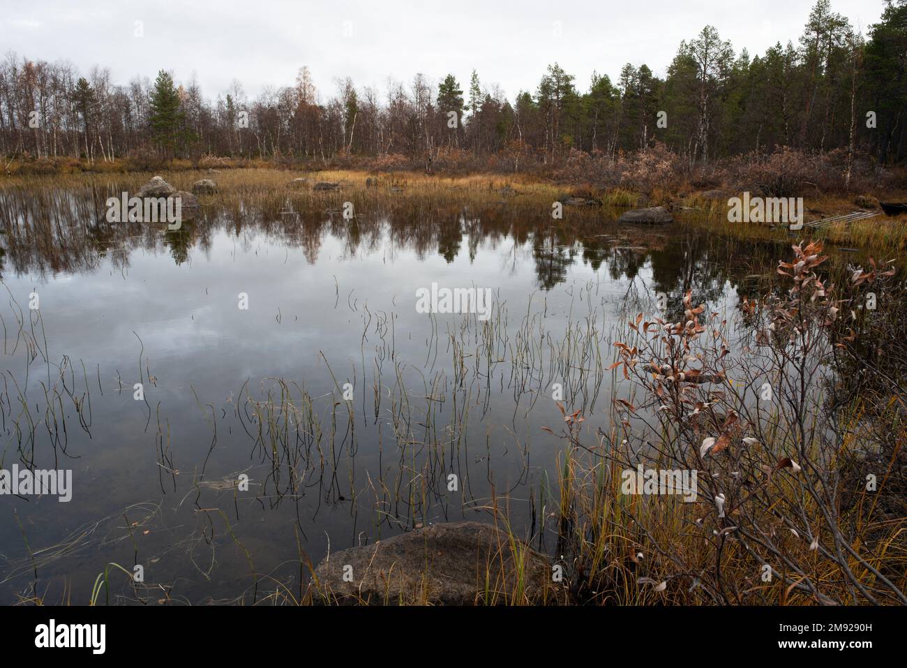 Small lake near Inari in Finland Stock Photo - Alamy