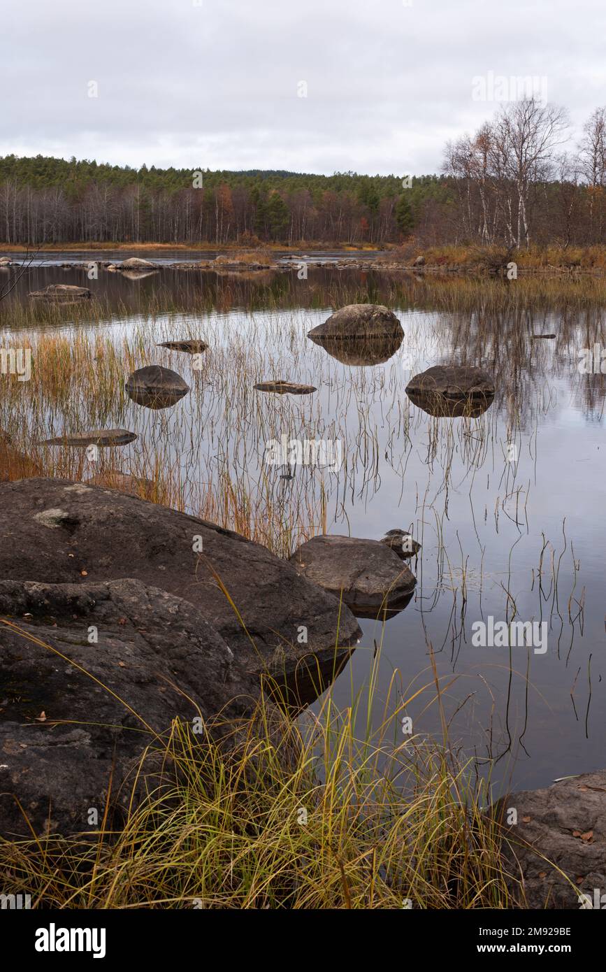 Autumn october small silver hi-res stock photography and images - Alamy
