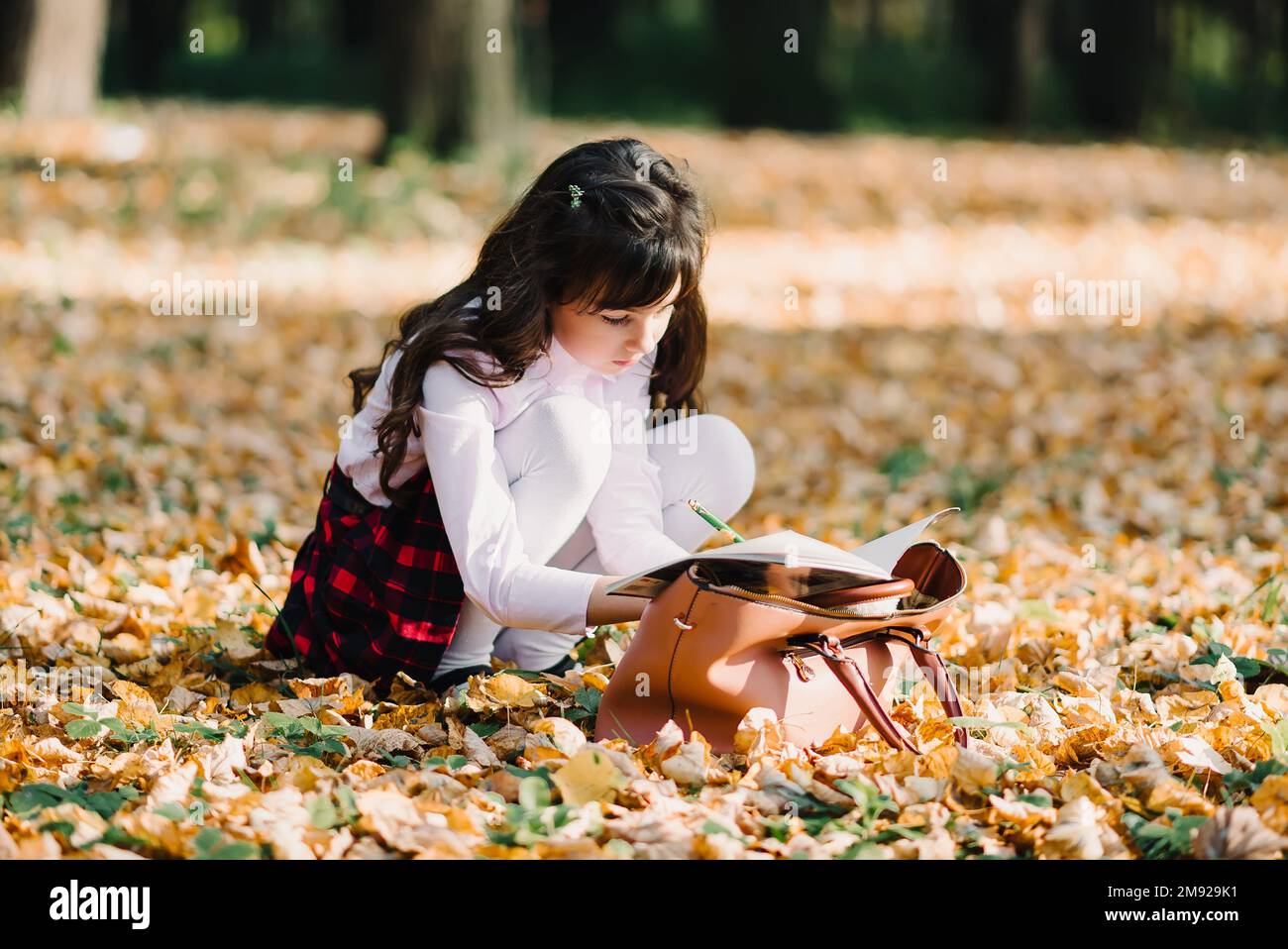 Lessons in nature hi-res stock photography and images - Alamy