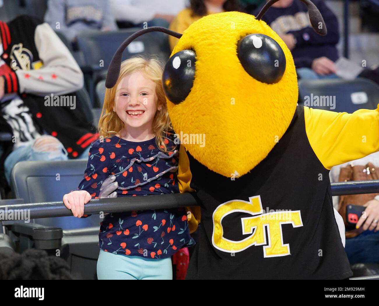 Duke mascot 2023 hi-res stock photography and images - Alamy