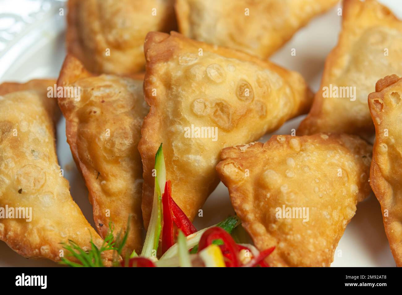 Closeup a plate of fried dumplings. Delicious Japanese pan-fried ...