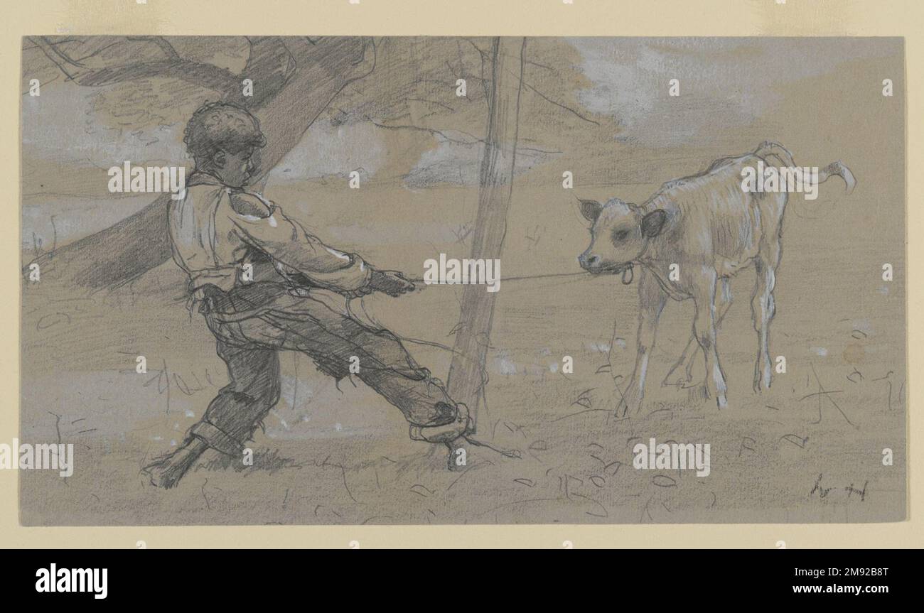 Study for "The Unruly Calf" Winslow Homer (American, 1836-1910). Study ...
