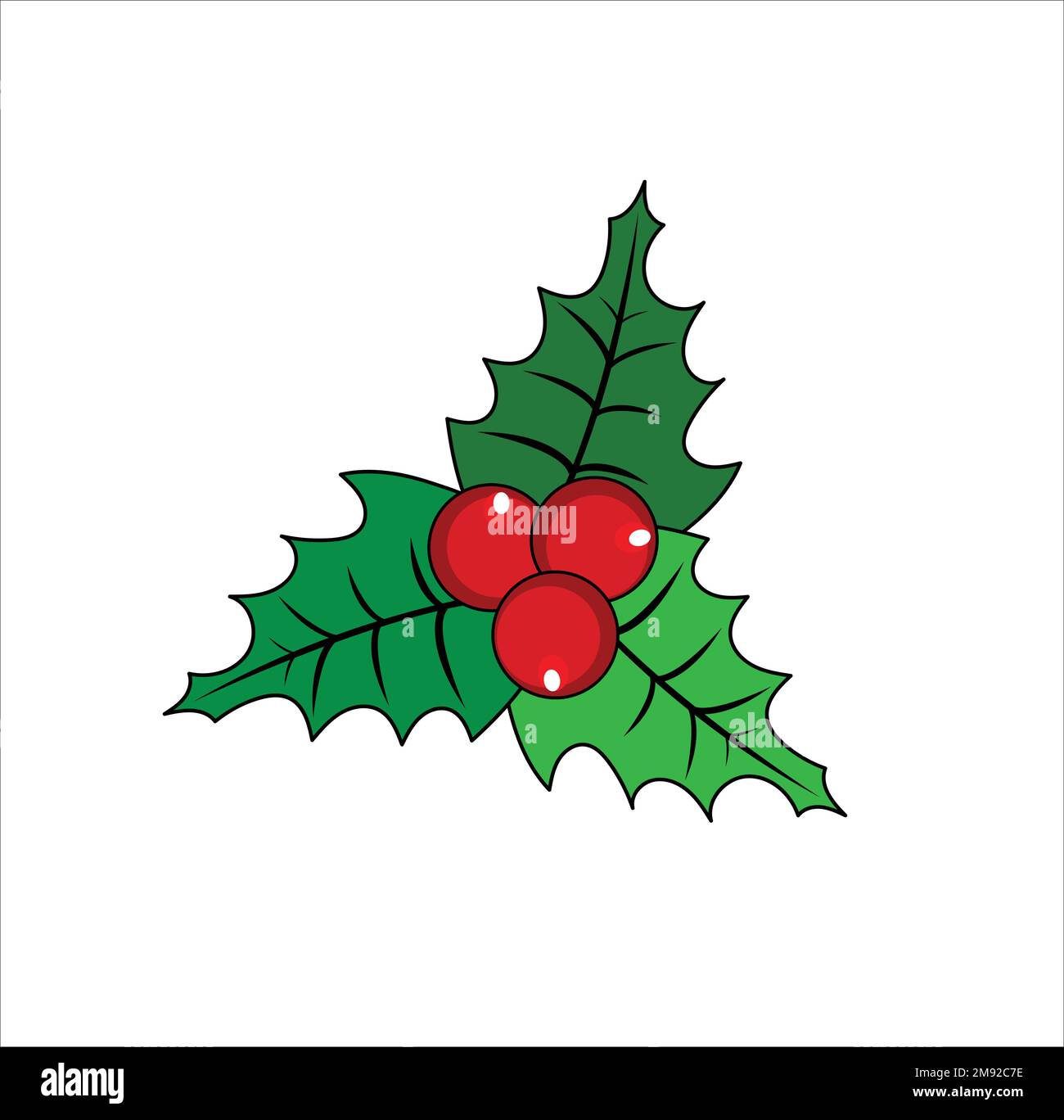 Holly vector illustration on white background Stock Vector Image & Art ...