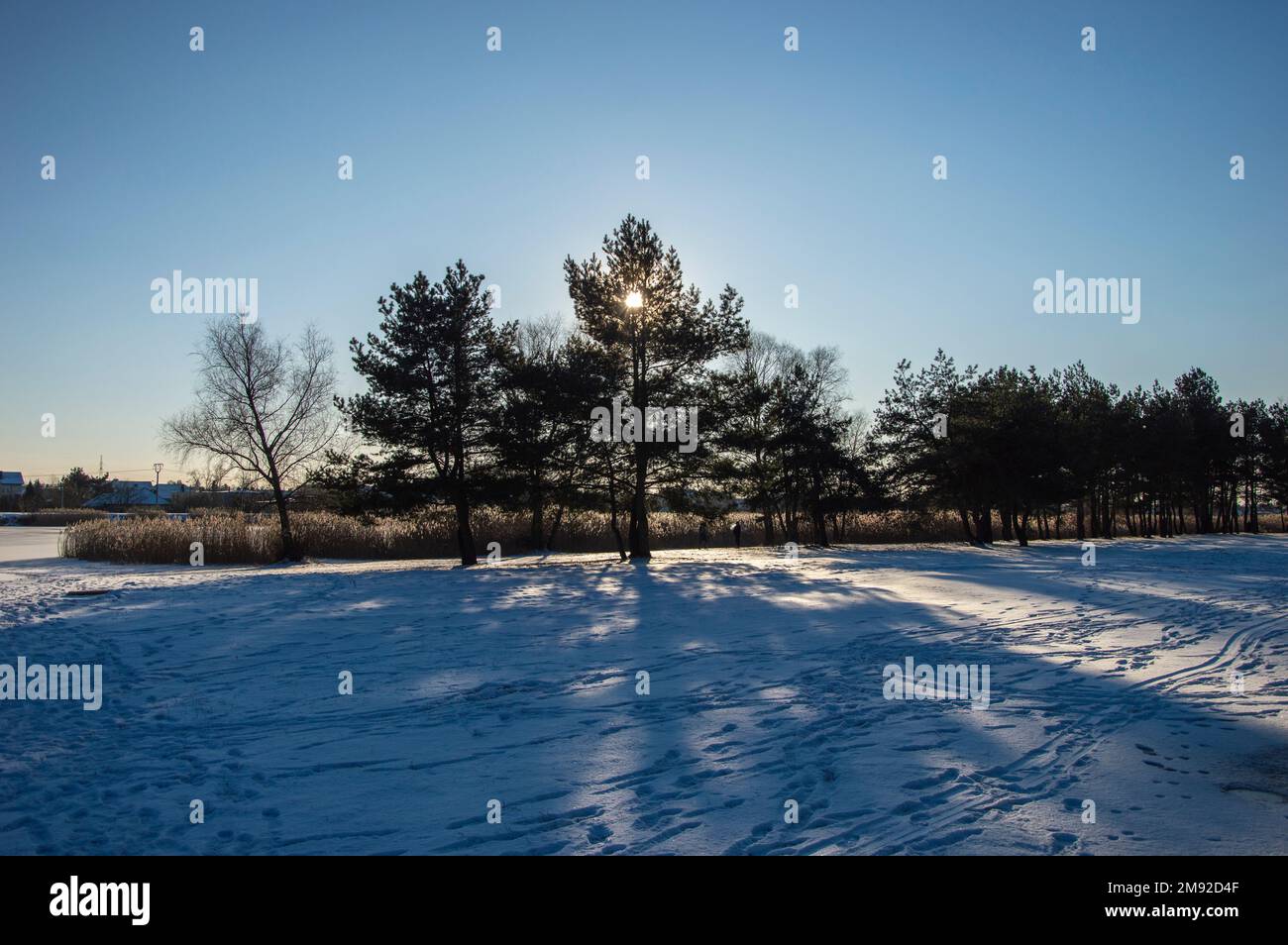 Winter landscape with the sun in contrast on a cold day, fields and ...