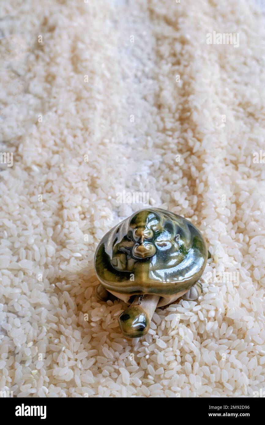 A creative indoor photo with a porcelain turtle and sea sand made from ...