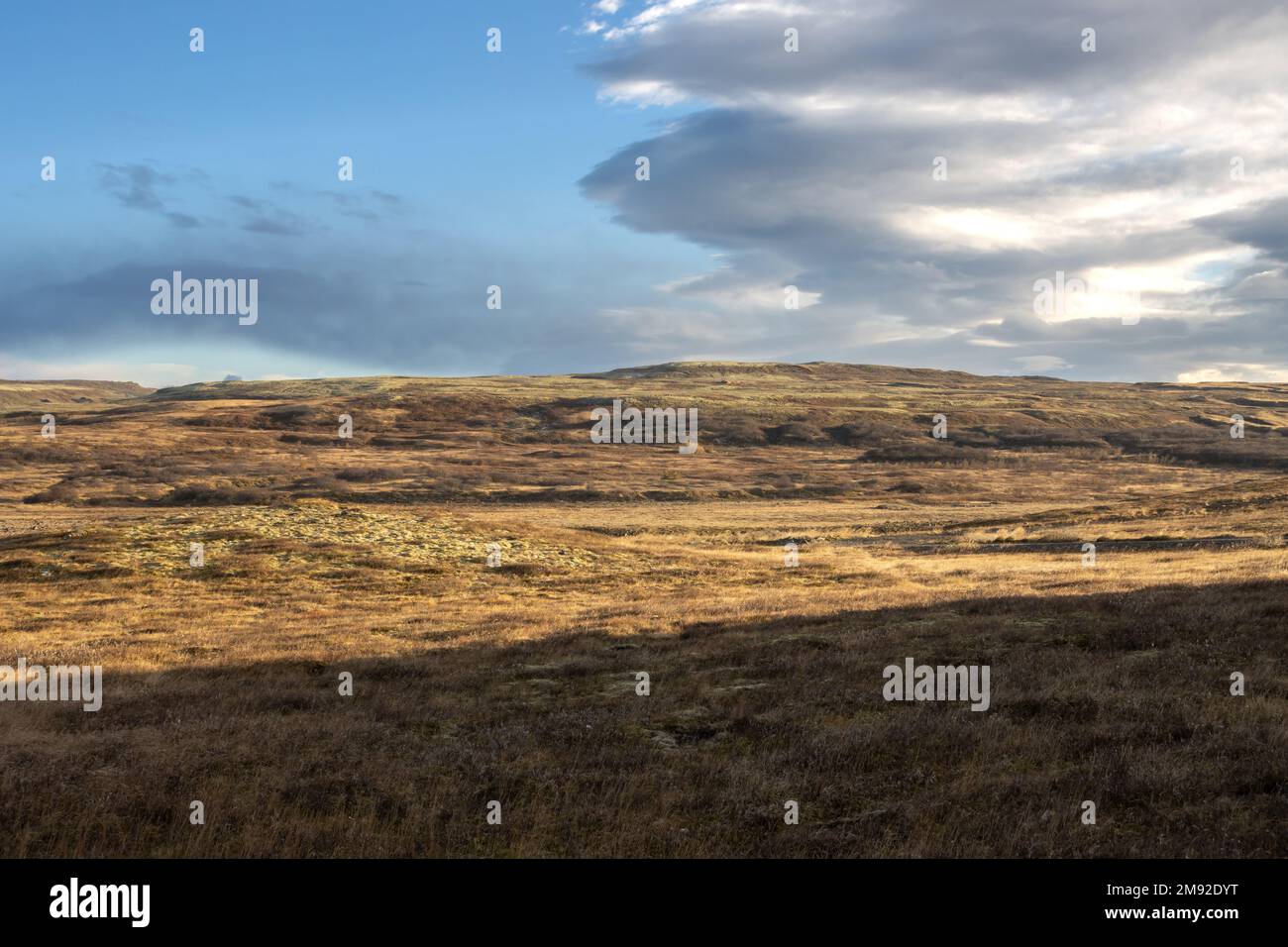 Country with meadows, fields or pastures, dry in the autumn. Horizon in ...