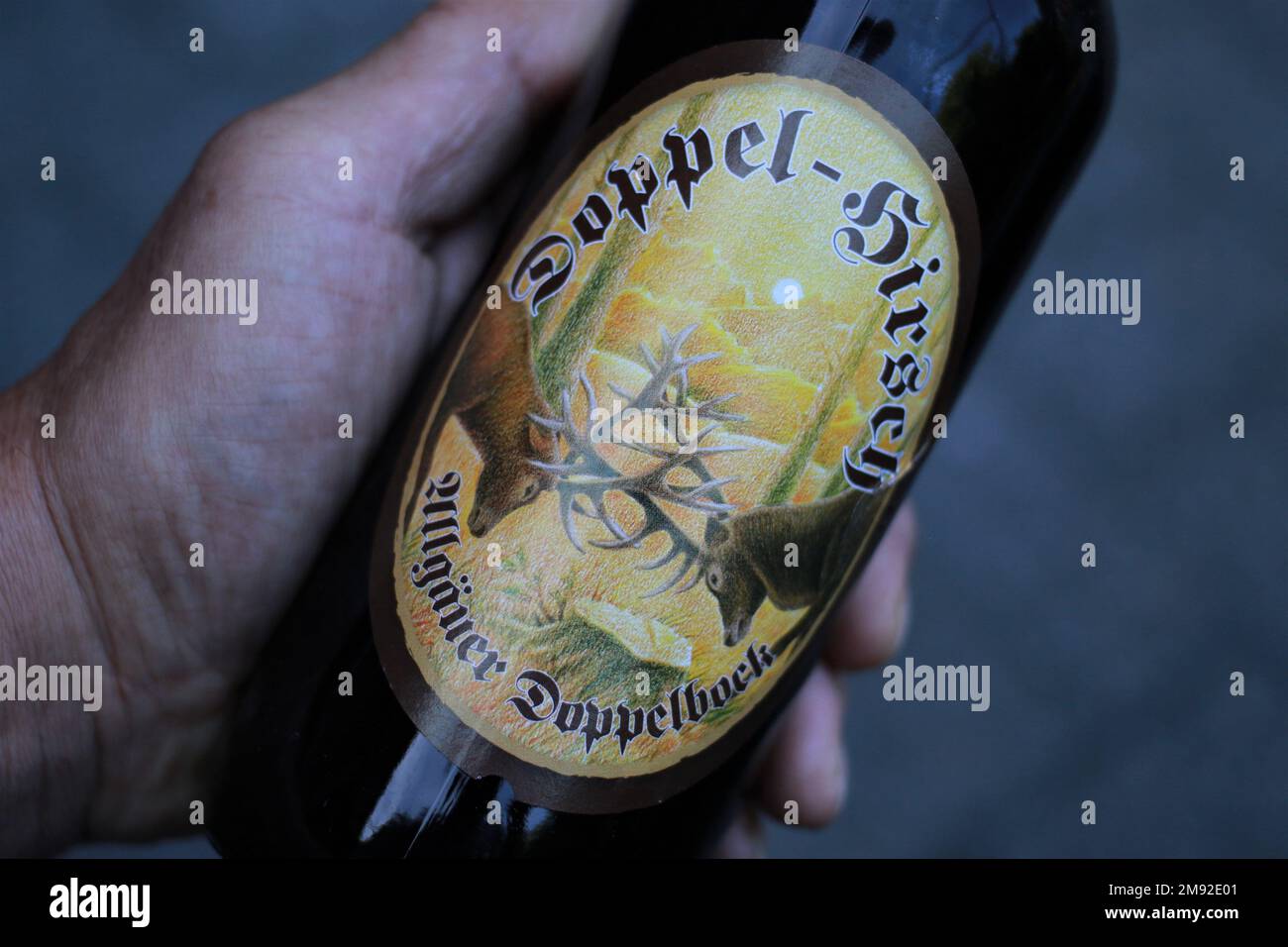 Hirsch in closeup hi-res stock photography and images - Alamy