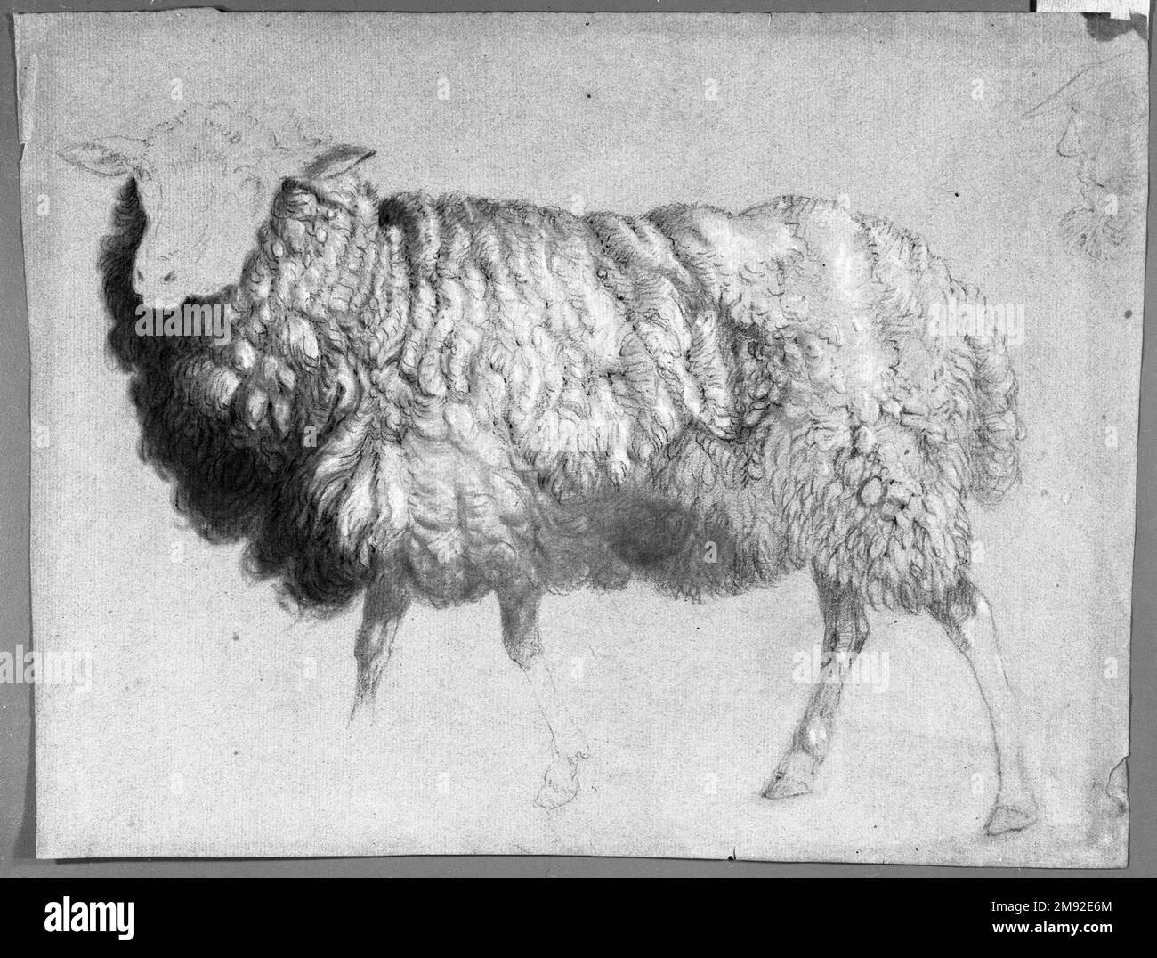 Blue red black Black and White Stock Photos & Images - Alamy