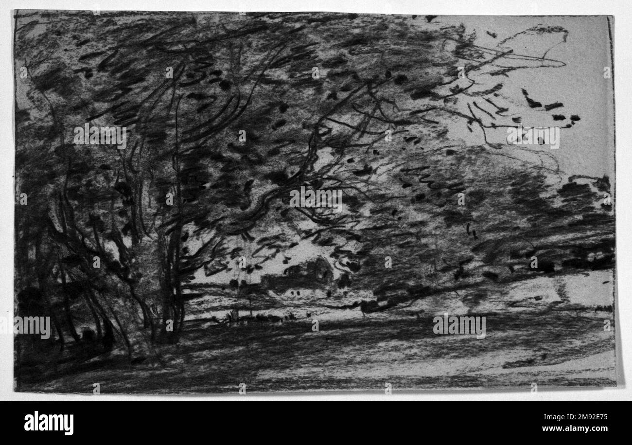 Study of Trees Joseph Frank Currier (American, 1843-1909). Study of ...