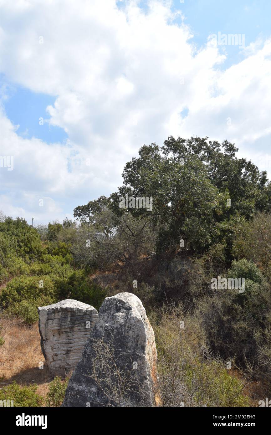 Yiftah Fissures Nature Reserve in Israel Stock Photo - Alamy
