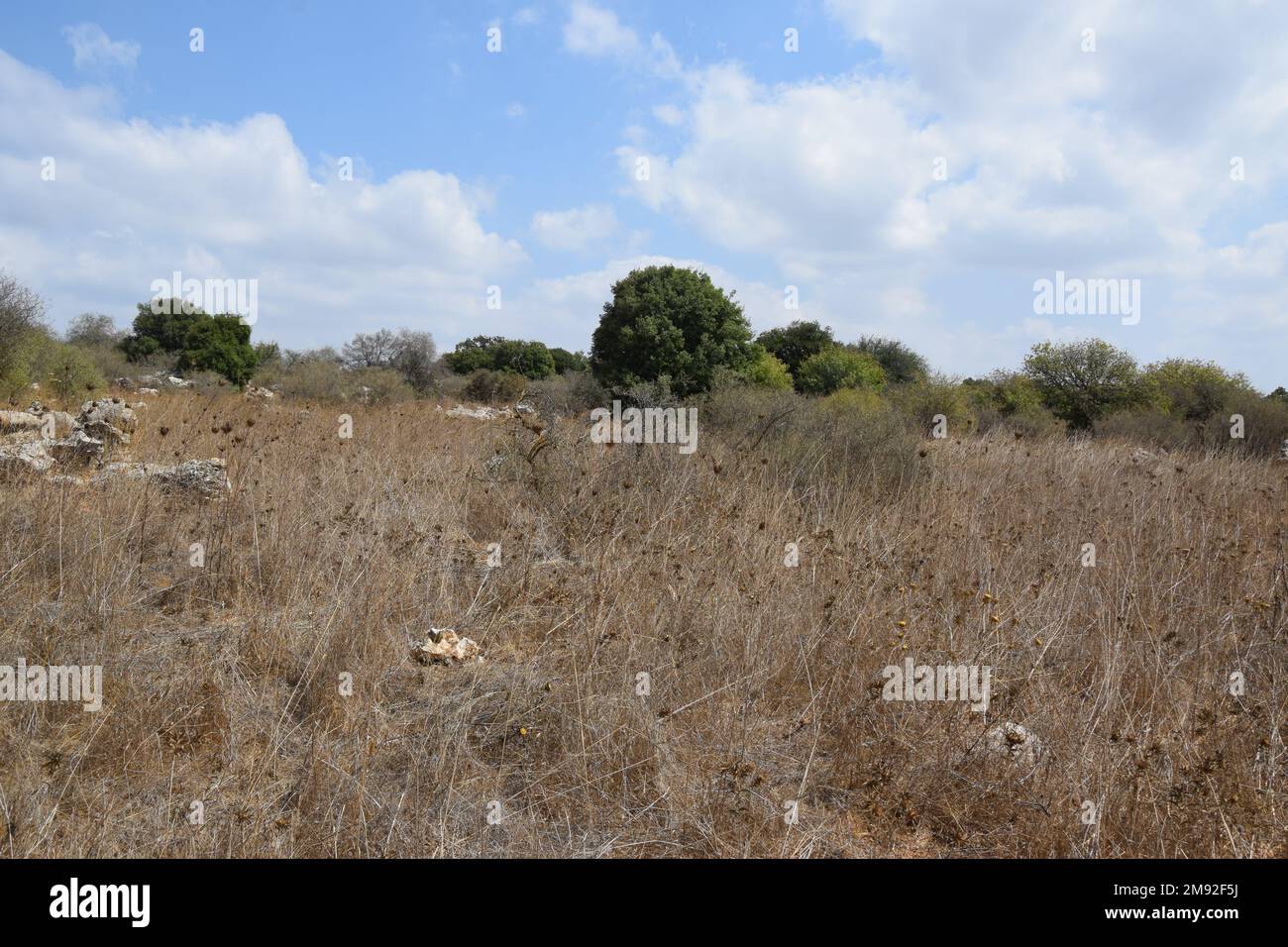 Yiftah Fissures Nature Reserve in Israel Stock Photo - Alamy