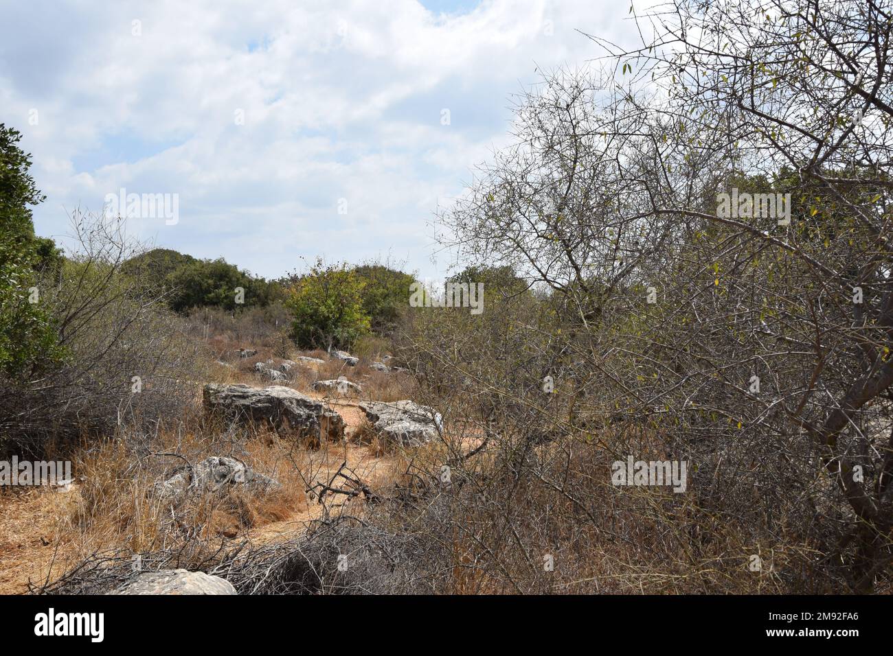 Yiftah Fissures Nature Reserve in Israel Stock Photo - Alamy