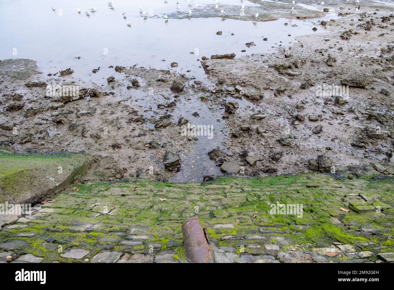 Wastewater drainage pipe, ends in the estuary that flows into the sea ...