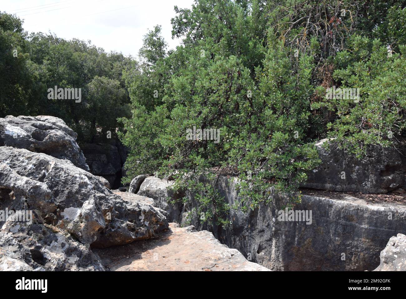 Yiftah Fissures Nature Reserve in Israel Stock Photo - Alamy