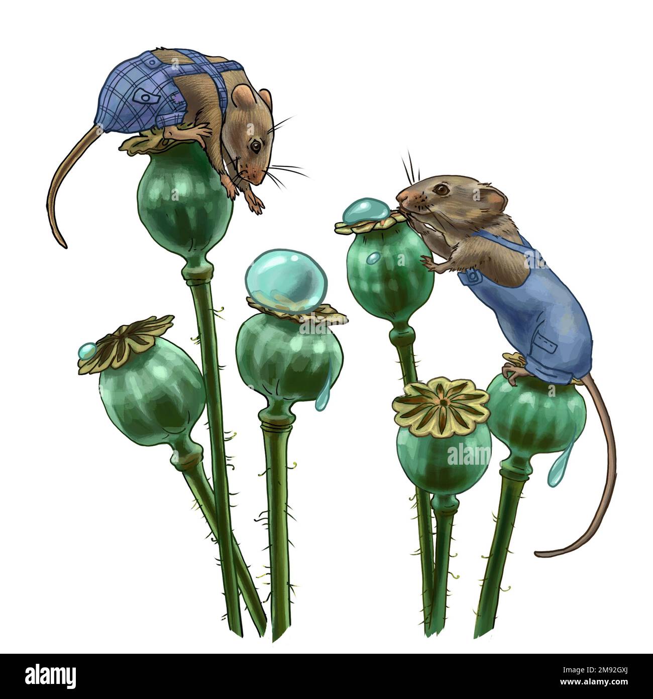 Color illustration of a mouse and a flower. High quality illustration ...