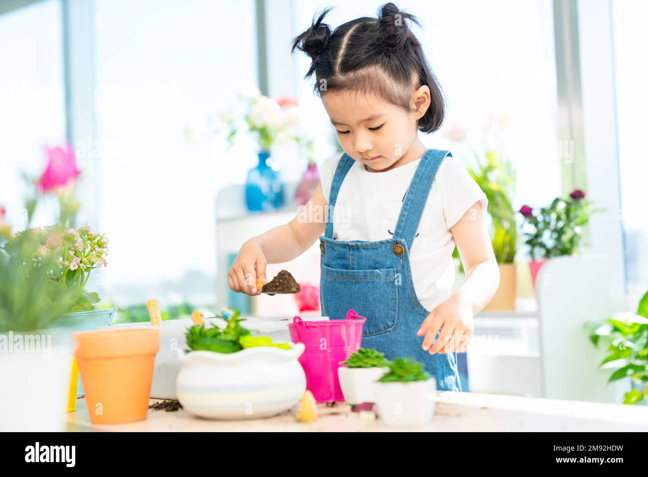 Happy little girl grow pot at home Stock Photo - Alamy