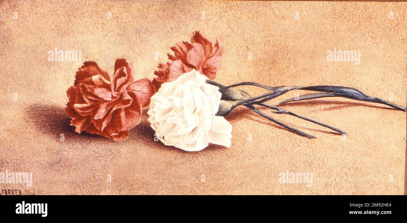 Carnations Henry Farrer (American, 1843-1903). Carnations, 1864 ...