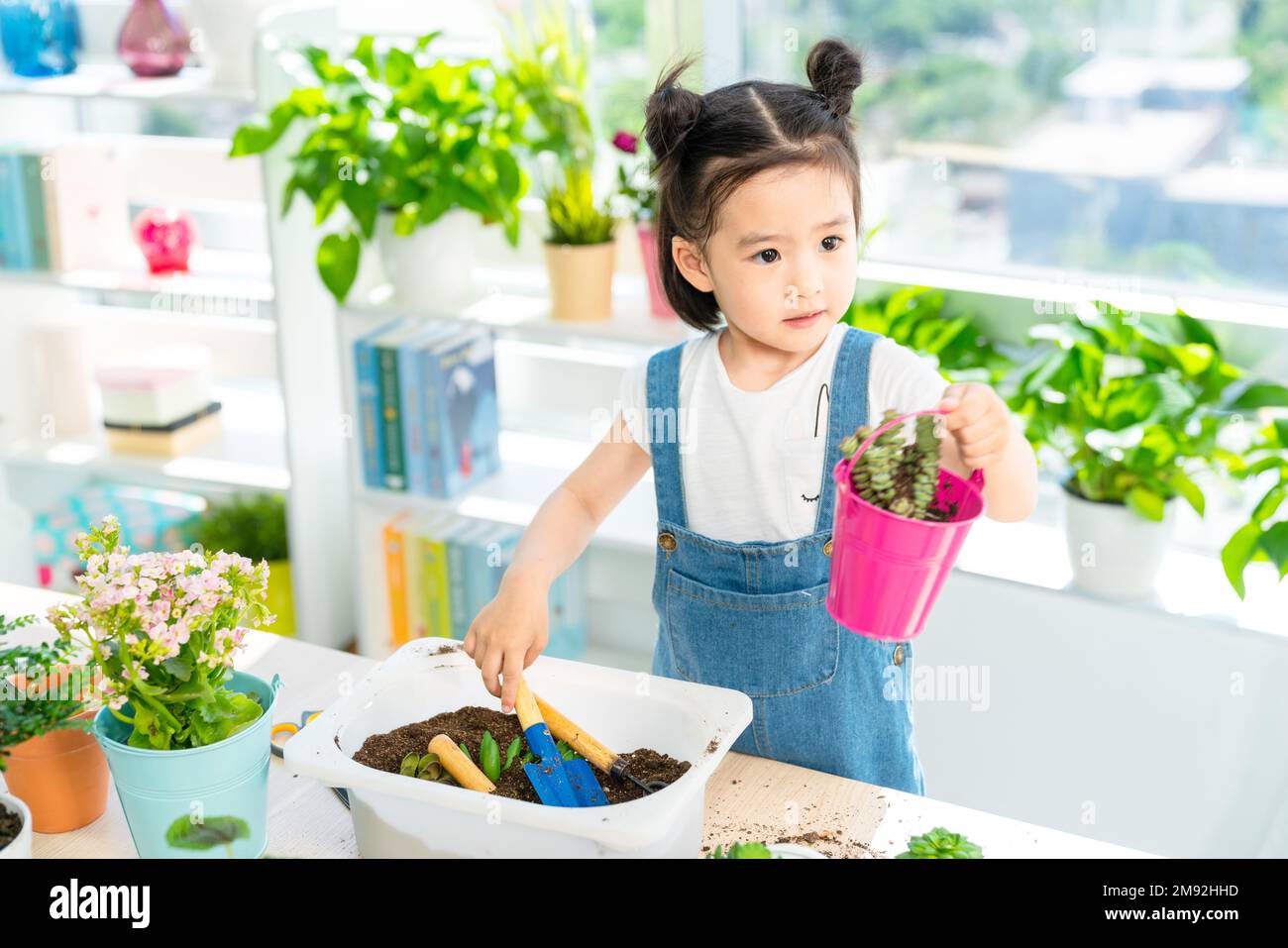 Happy little girl grow pot at home Stock Photo - Alamy