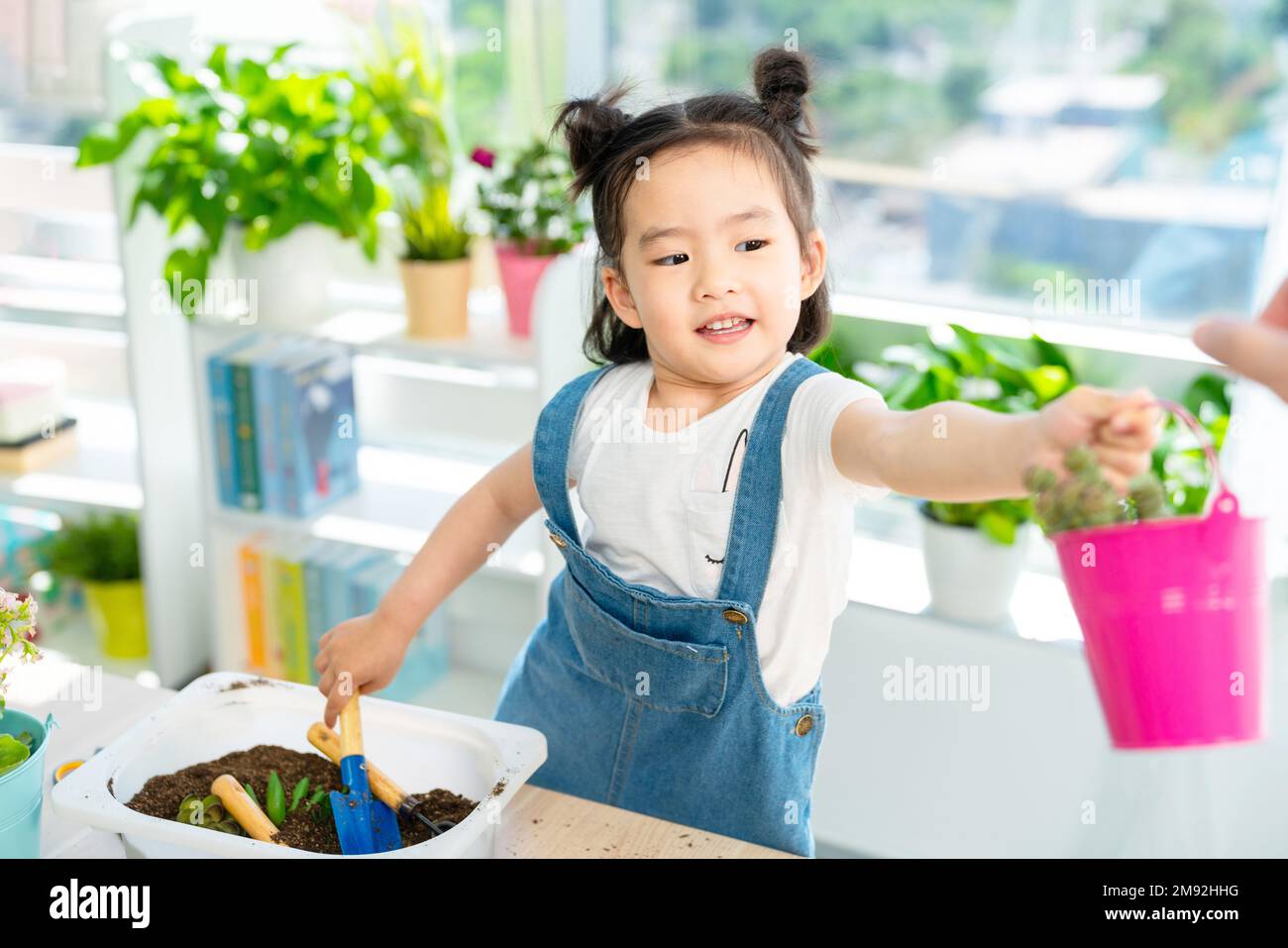 Happy little girl grow pot at home Stock Photo - Alamy