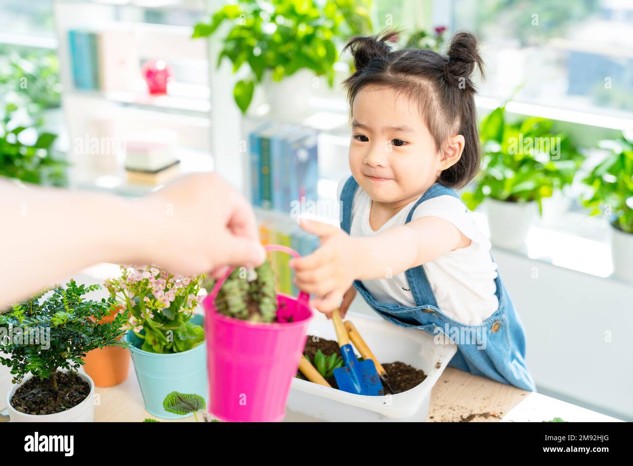 Happy little girl grow pot at home Stock Photo - Alamy