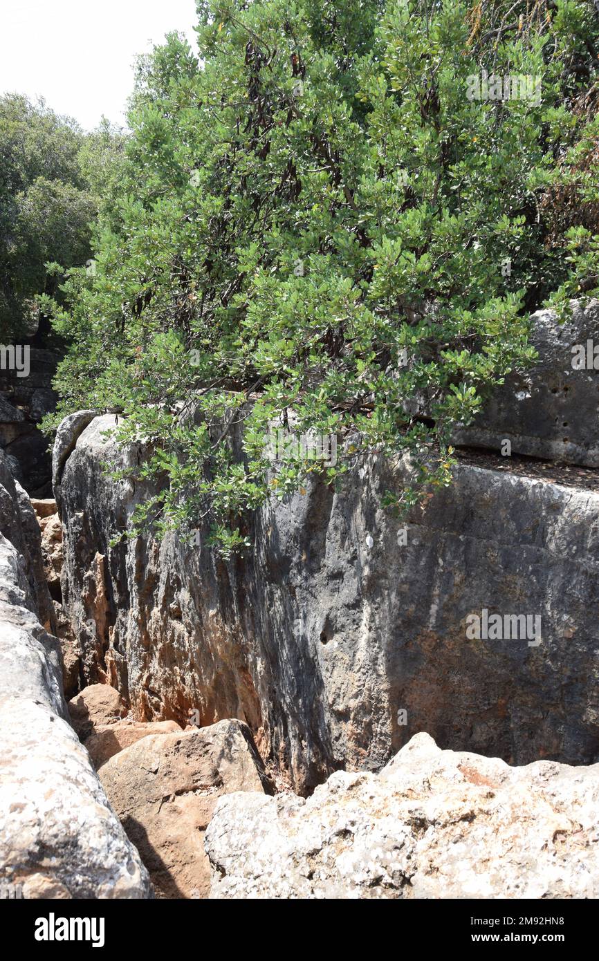 Yiftah Fissures Nature Reserve in Israel Stock Photo - Alamy