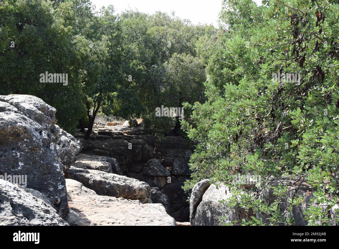 Yiftah Fissures Nature Reserve in Israel Stock Photo - Alamy