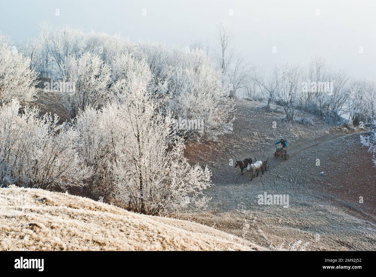 Traditional rural landscape in transylvania Stock Photo - Alamy