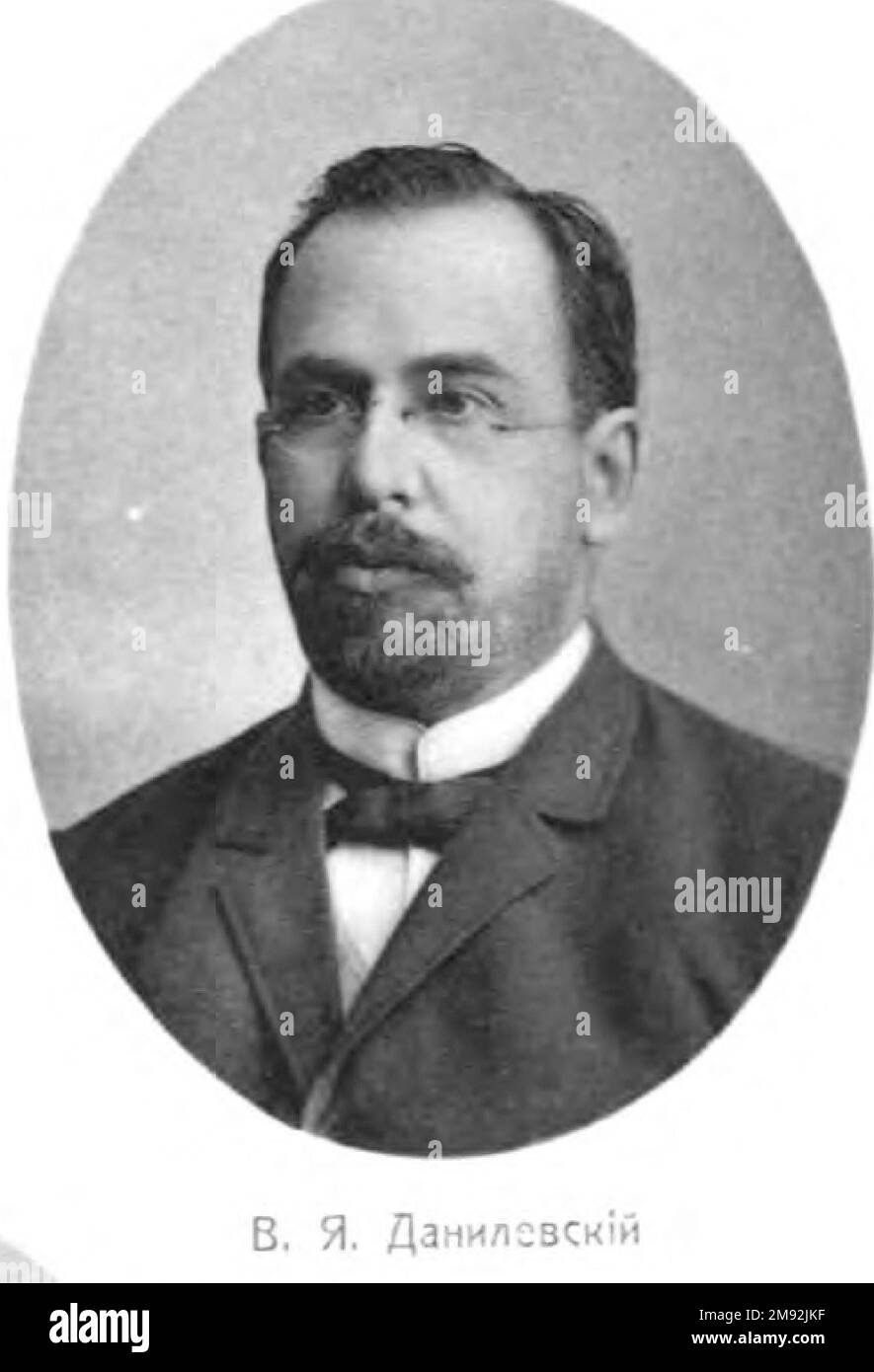 Vasily danilevsky hi-res stock photography and images - Alamy