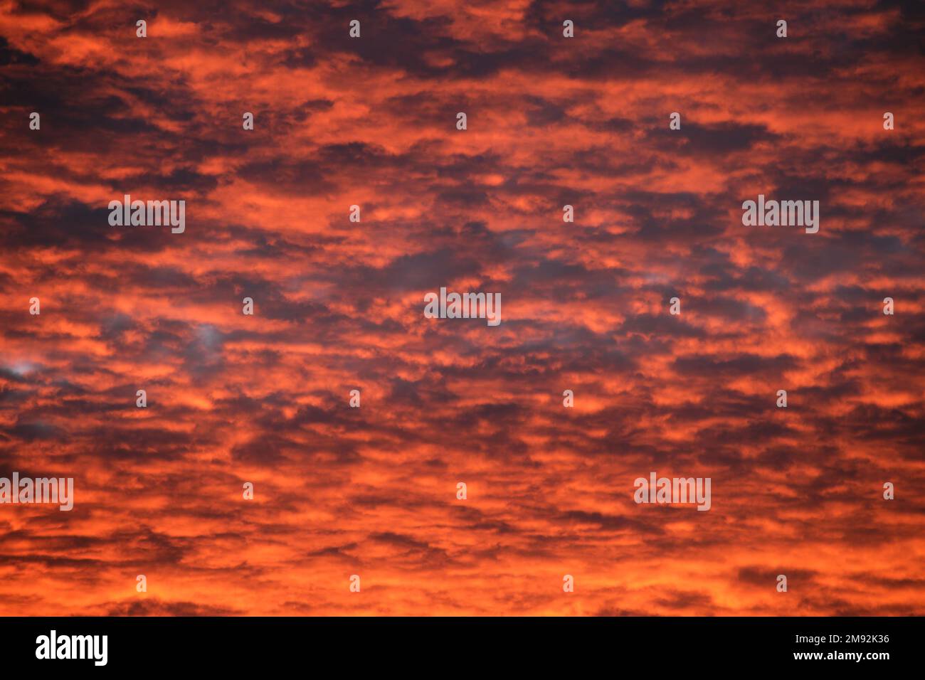 Bright colorful sunset sky with vivid smooth clouds illuminated with ...