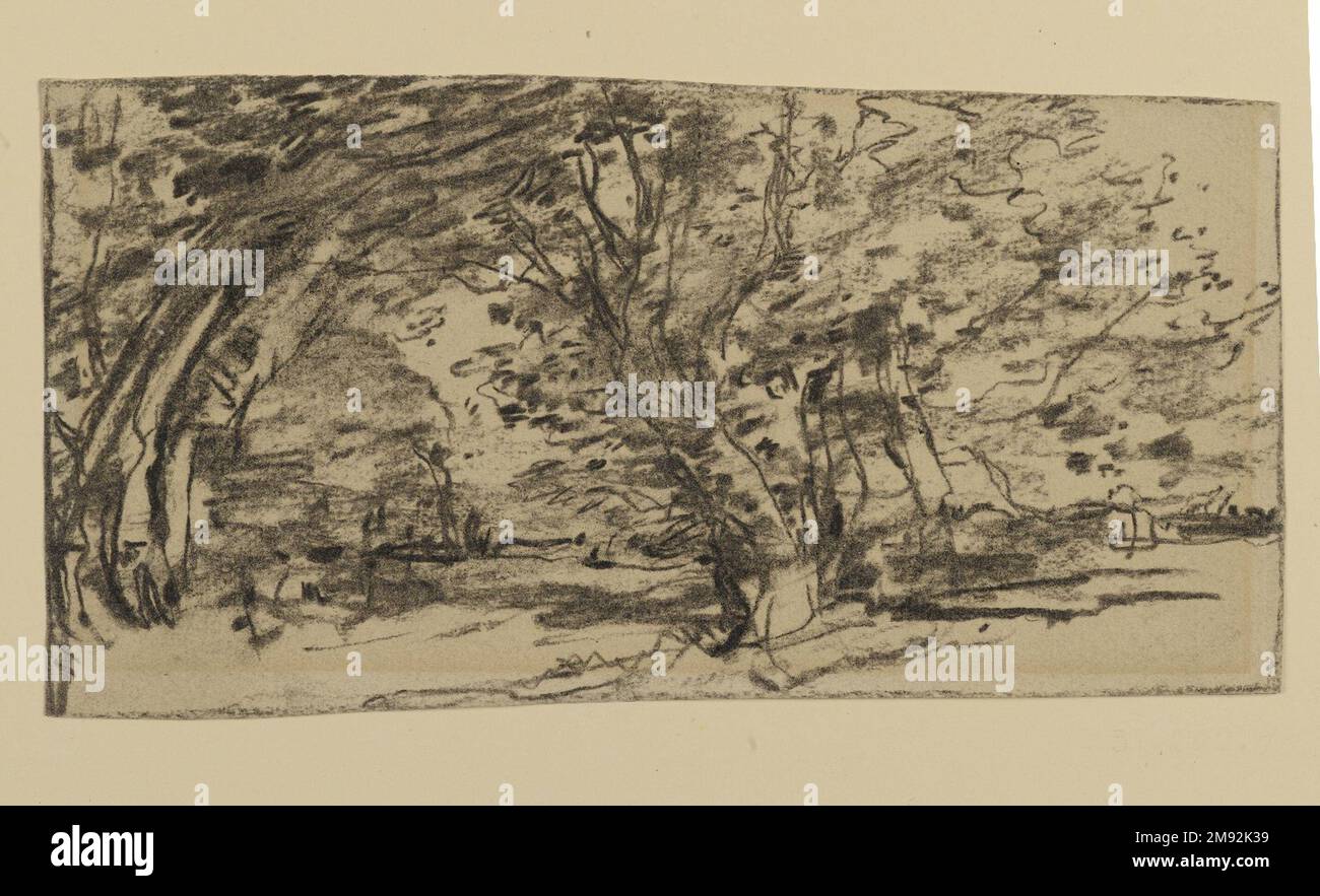 Study of Trees Joseph Frank Currier (American, 1843-1909). Study of ...