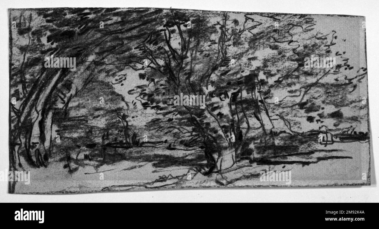 Study of Trees Joseph Frank Currier (American, 1843-1909). Study of ...