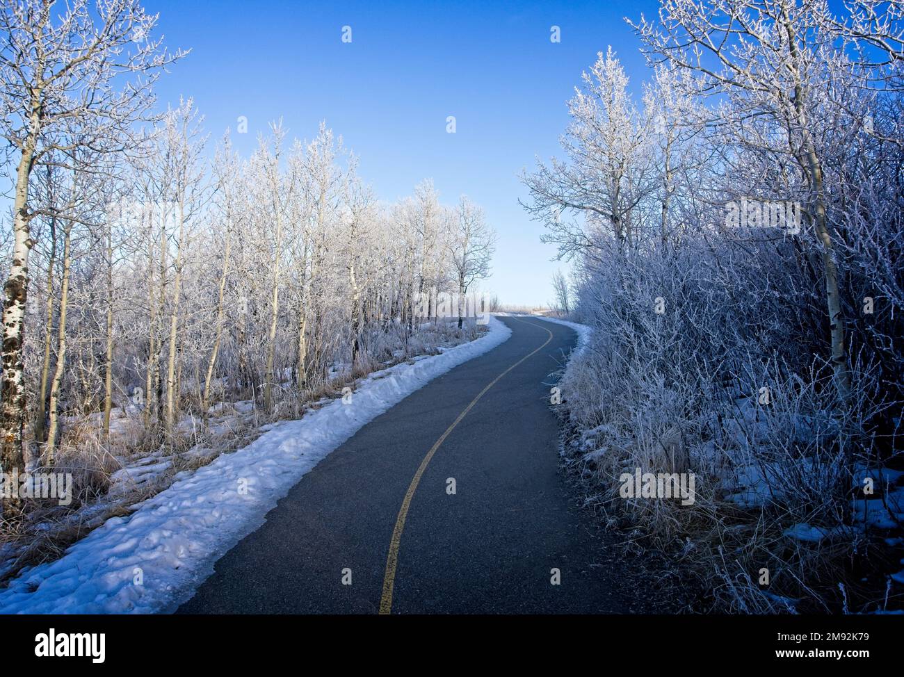 Glenbow Ranch Provincial Park Stock Photo - Alamy