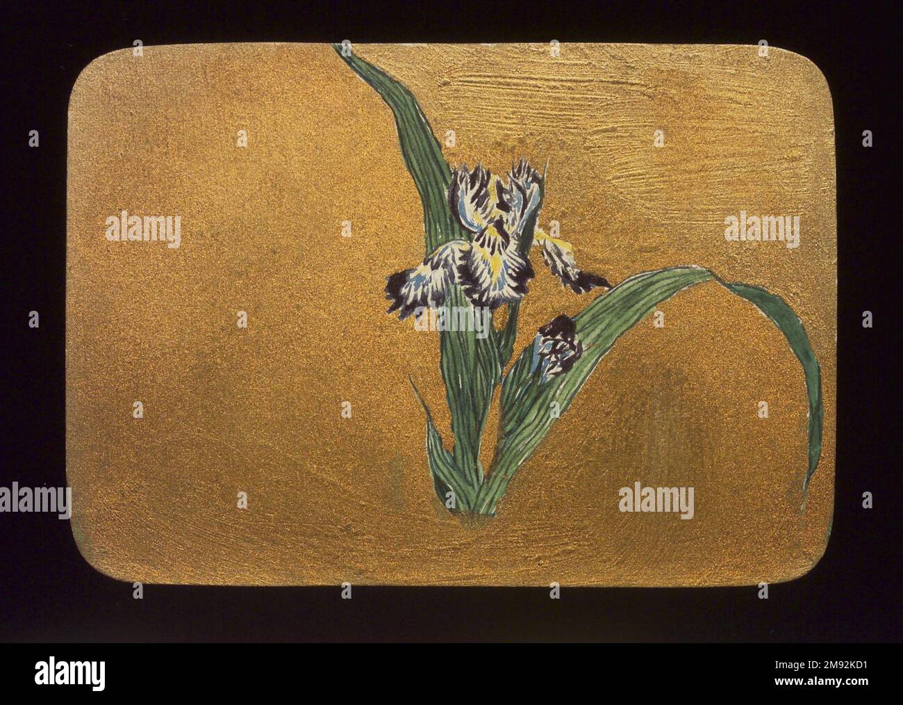 Small Card Decorated with Iris Christopher Grant La Farge (American ...