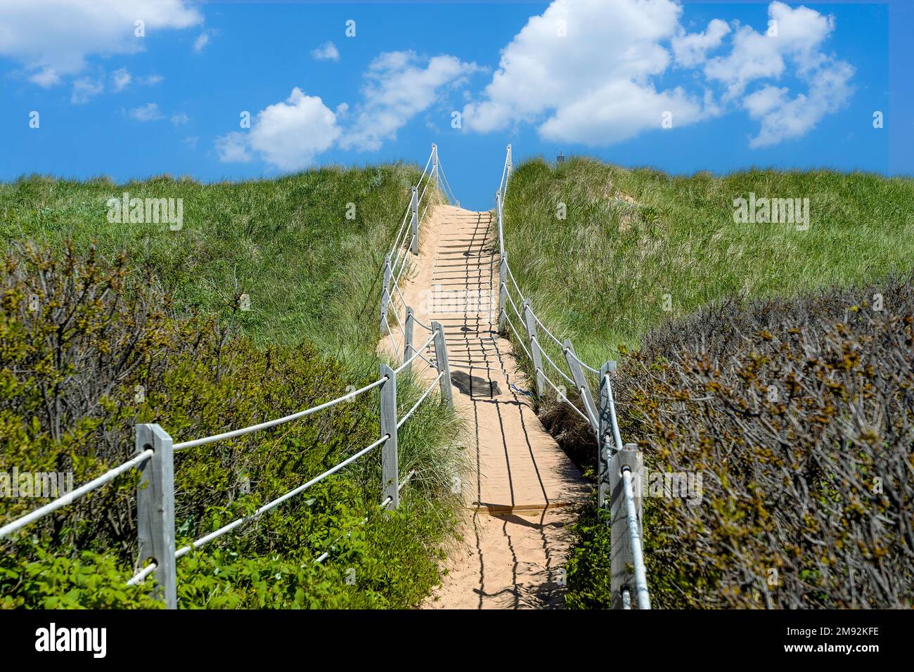 Path through the sand dunes to the beach at PEI National Park in Prince ...