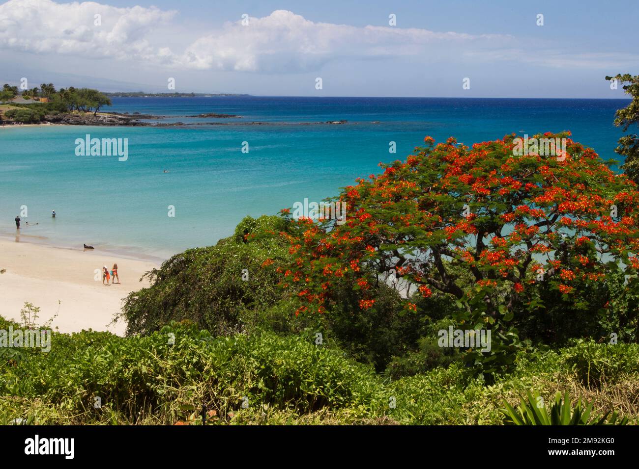 KAILUA-KONA-BIG ISLAND-HAWAII-19-06-2104. Tourist enjoy a day on the ...