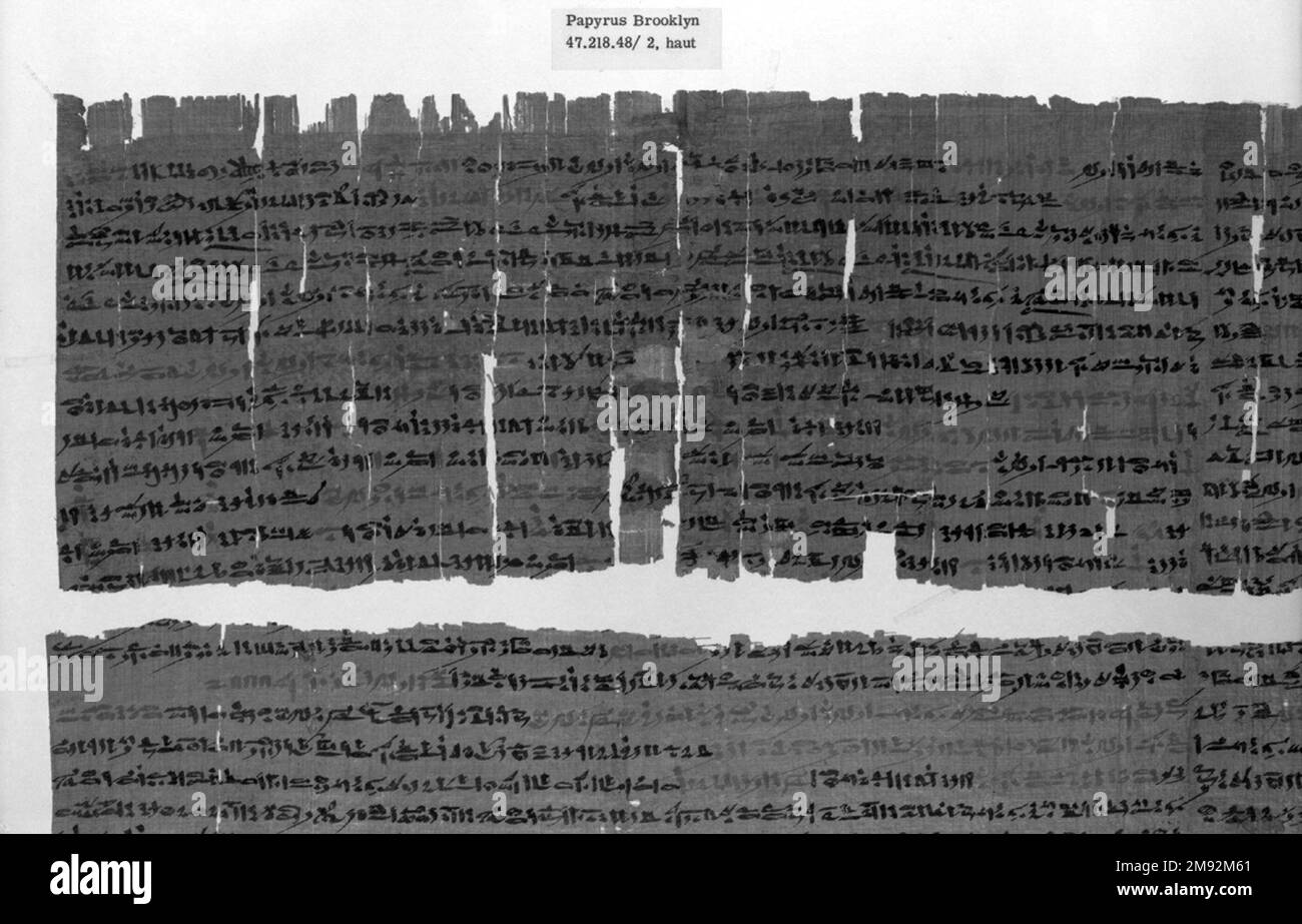 Snakebite Papyrus Snakebite Papyrus, 589-525 B.C.E. Papyrus, ink ...